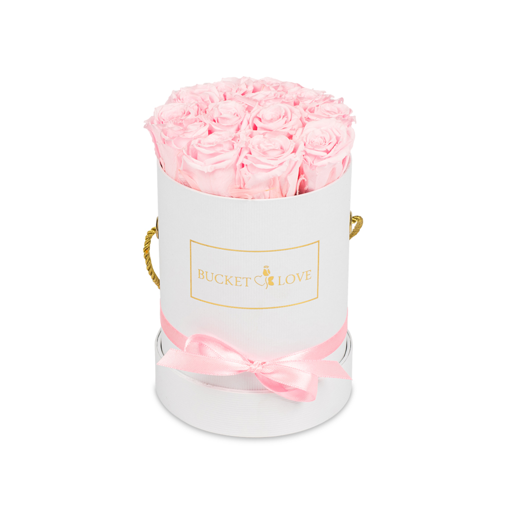 Back to You (forever roses)