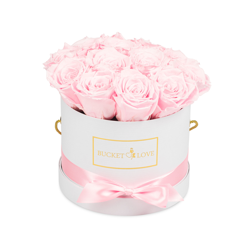 Back to You (forever roses)