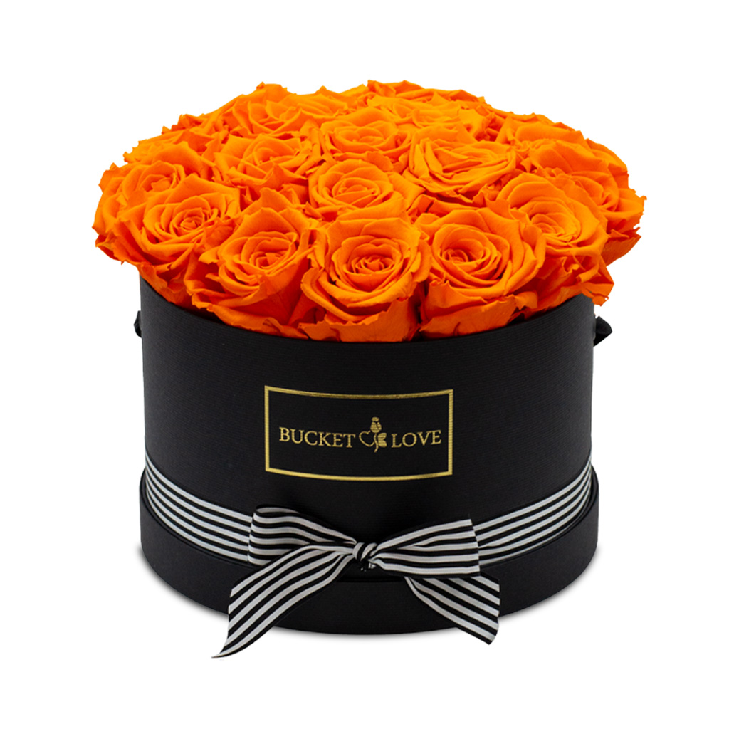 Dawn of Orange Roses (forever roses)