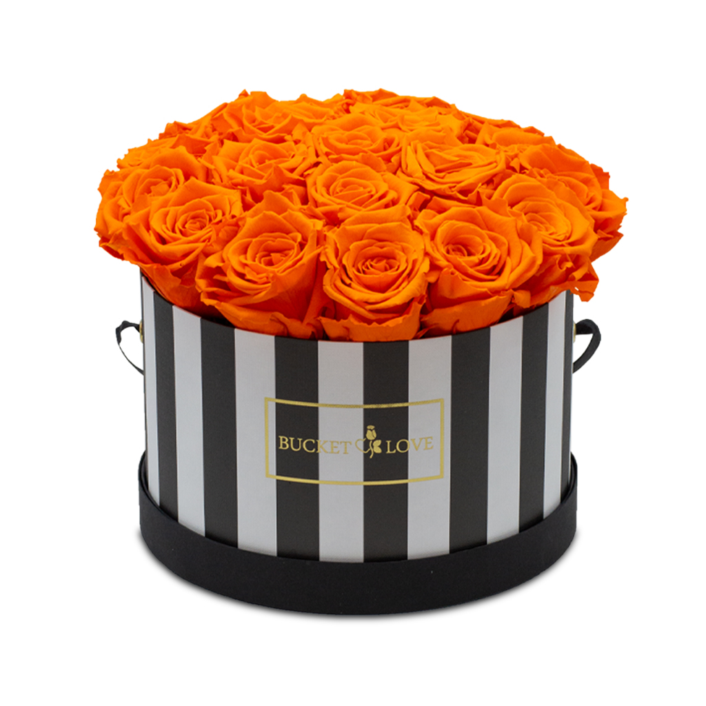 Daylight (forever roses)
